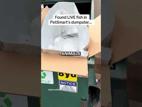 Pet Smart Is Going Viral Again For All The Wrong Reasons 😦