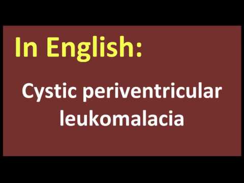 Cystic periventricular leukomalacia spanish MEANING