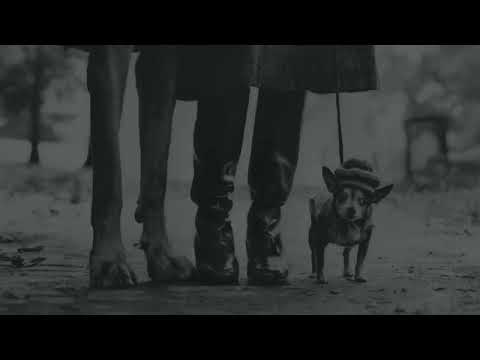Elliott Erwitt. Icons (la mostra a Pisa)