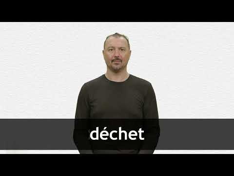 English Translation of “DÉCHET” | Collins French-English Dictionary
