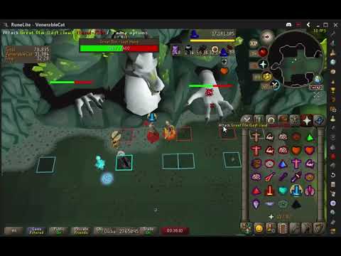 OSRS Duo olm 0 damage strategy