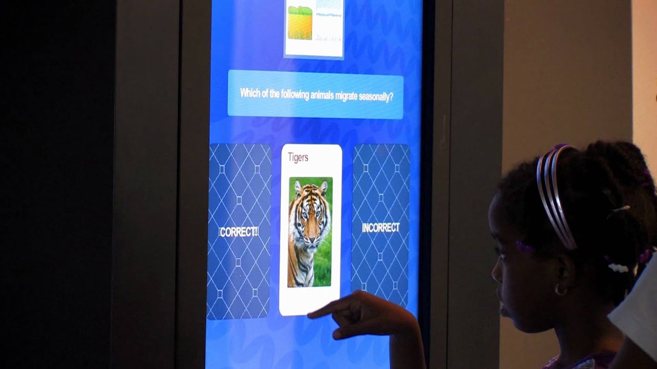 LCI - Interactive Video for Museum Displays