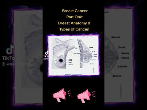 BREAST CANCER Part 1: Anatomy & Types of Cancer!#breastcancer #breastcancerawareness #explore #fypシ