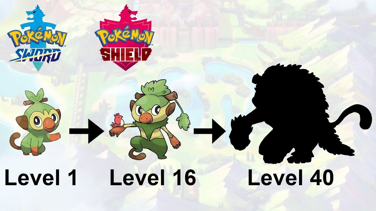 Grookey Evolution ! Pokemon Sword & Shield Starter Fanart
