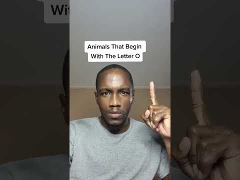 Animals That Begin With The Letter O😯 #animals #interesting #viral #shorts #xyzbca