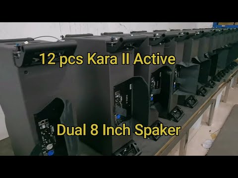 12 PCS SANWAY KARAII active dual 8 inch speaker ready shipped to Netherlands