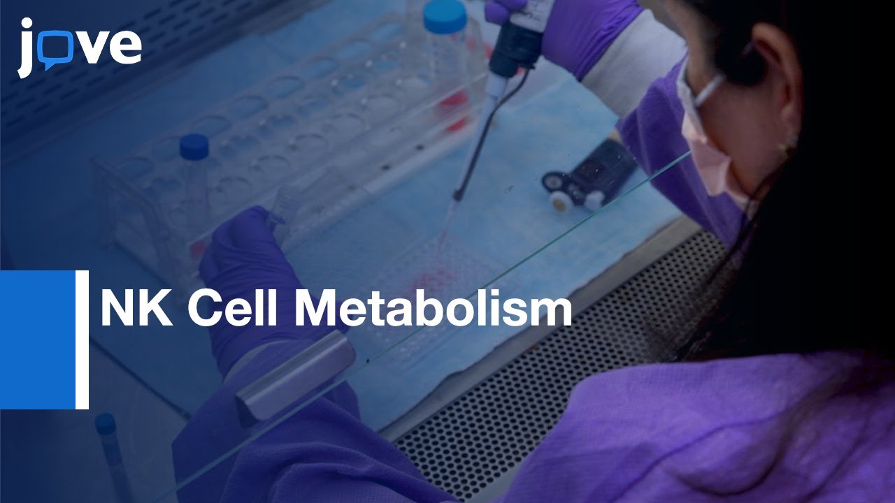 NK Cell Metabolism Analysis | Protocol Preview