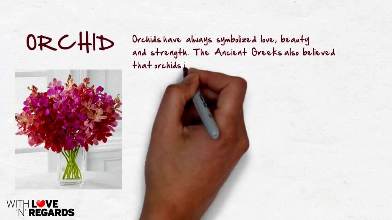 Why Flowers Make’s us Happy - Withlovenregards