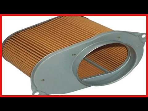 Hiflofiltro HFA3607 Premium OE Replacement Air Filter, Black