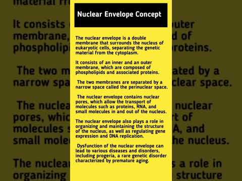 Nuclear Envelope Concept #shorts