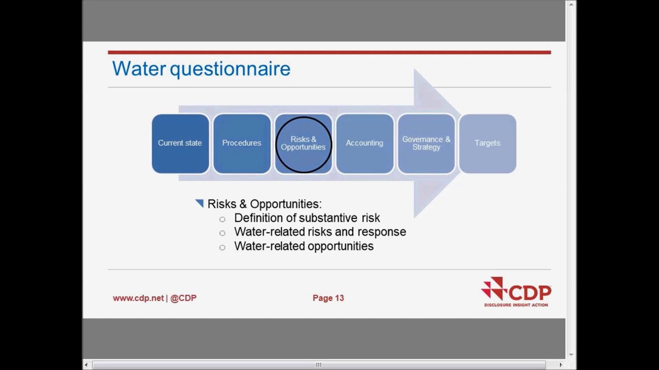 CDP Consulting Services Webinar