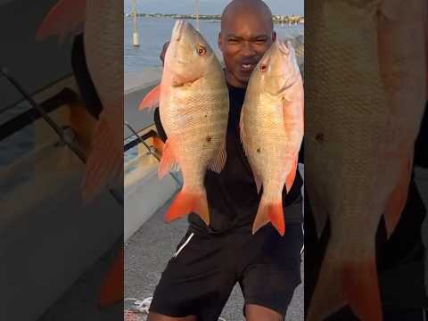 Florida Keys Bridge Fishing DOUBLE MUTTON SNAPPER! (Sep 2023)