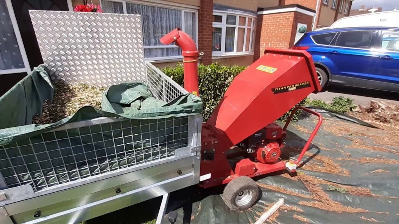 Conifer trees and a hedge removal