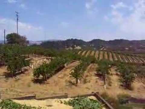 Raymond Burr wineries