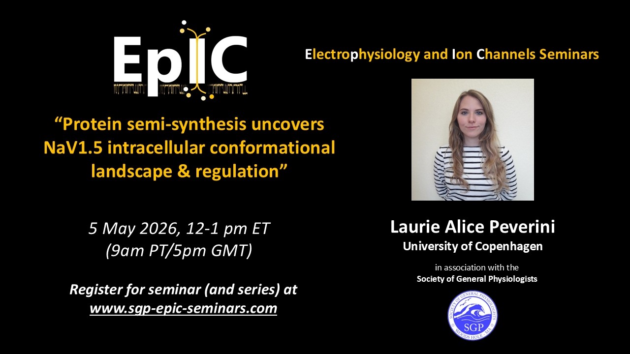 EpIC Seminar 37 Laurie Peverini