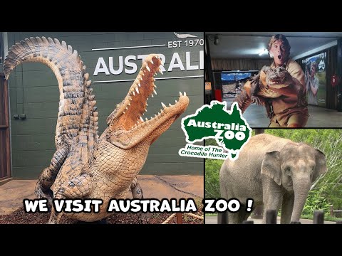 We visited Australia Zoo! Full Tour & Review 2024🐊