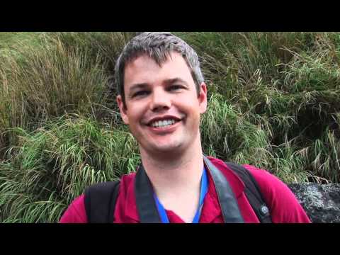 Inaccessible Island rail, new study | Dear Kitty. Some blog