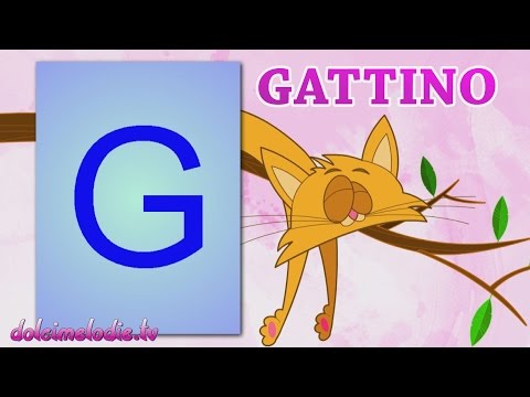 Phonics | ITALIAN Primary