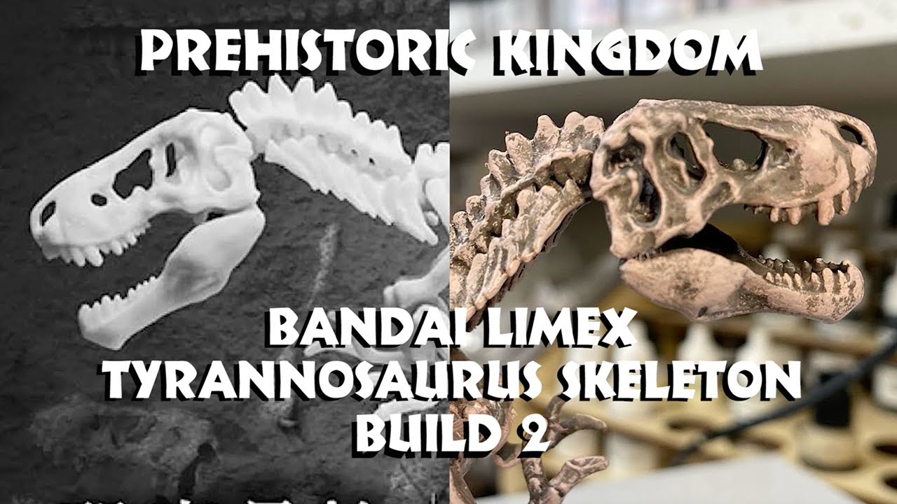 Bandai Limex Tyrannosaurus Skeleton Build 2