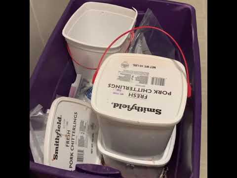 More chitterlings to clean