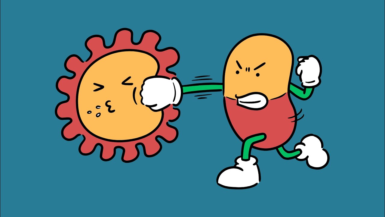 Pharmaceutical Microbiology Online Course | Introduction