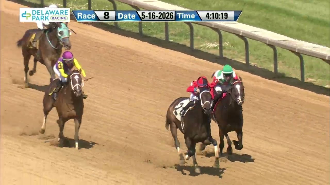 Race 8 Master 2026/05/16