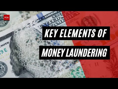The Anatomy of Money Laundering: From Illicit Gains to Legitimate Assets