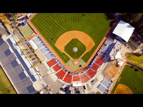 Titans Baseball Legacy