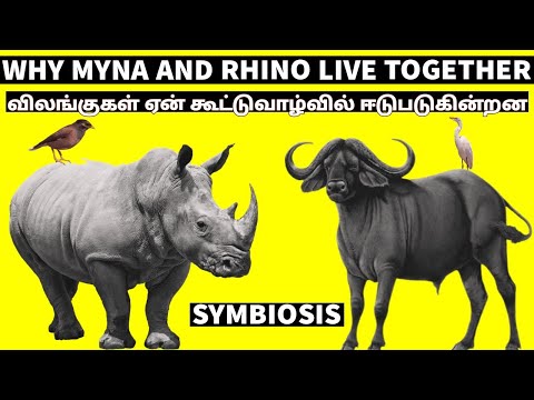 Symbiosis: Surprising Relationship Between Animal - Tamil - Dr Science