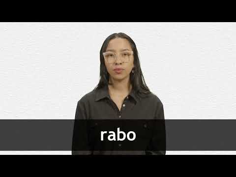 English Translation of “RABO” | Collins Spanish-English Dictionary