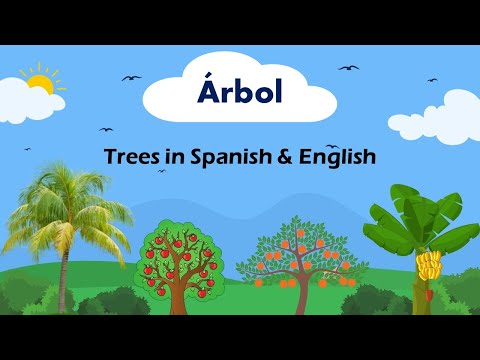 Árbol - Trees in Spanish & English
