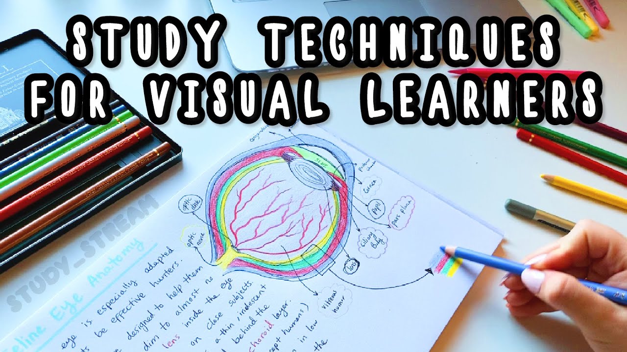 How to Study if You Are a Visual Learner