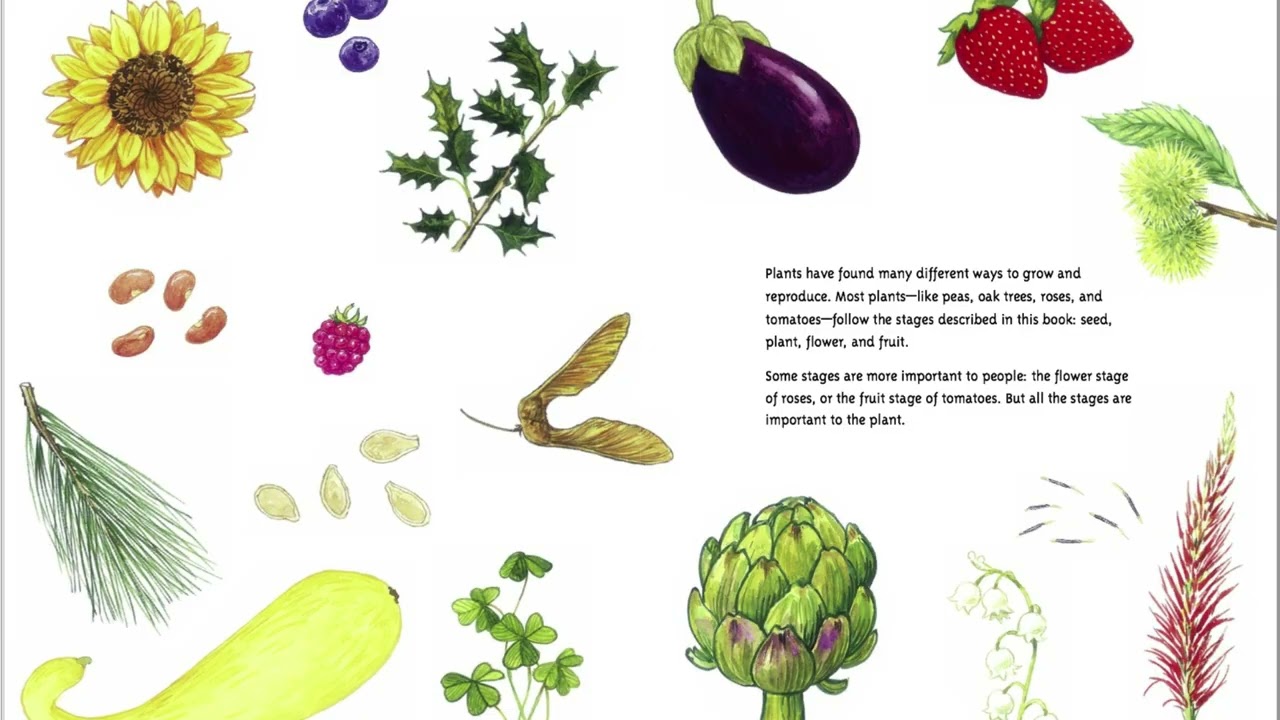 Plant Secrets Read Aloud