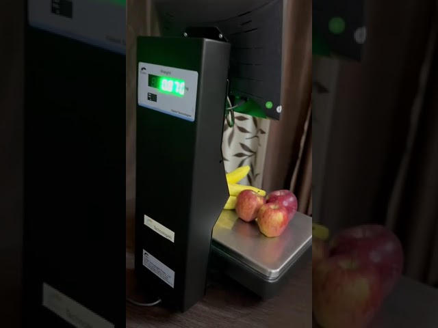 POS Scale - CL 991 Touch Scale ( 8 Inch) Manufacturer from Bengaluru