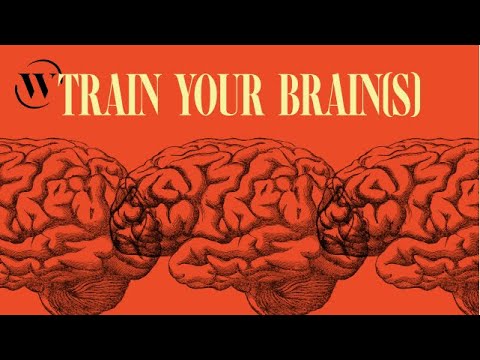 The 3 brains we have: reptilian, mammalian (limbic) and cortex ...