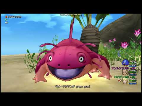 DQX (SNG+) - Royal Maze Money Craze