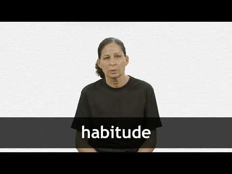 English Translation of “HABITUDE” | Collins French-English Dictionary