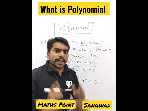 #What #is #Polynomial #shorts