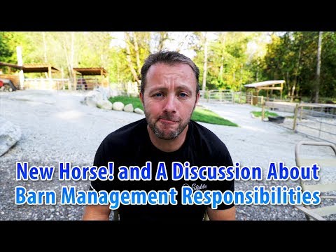 New Horse! and A Discussion About Barn Management Responsibilities