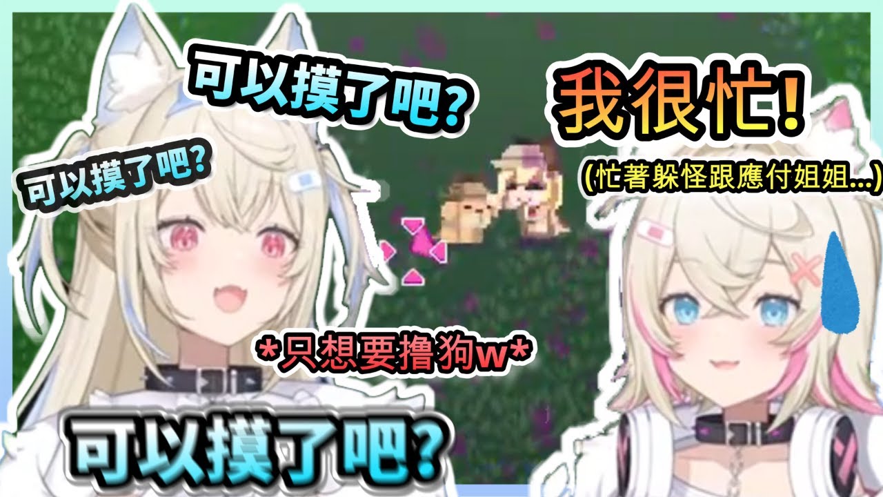 不管畫面再怎麼混亂...一心只想撸狗的FUWAWA!!【FUWAMOCO/ホロライブ】【hololive】【vtuber中文字幕 ...