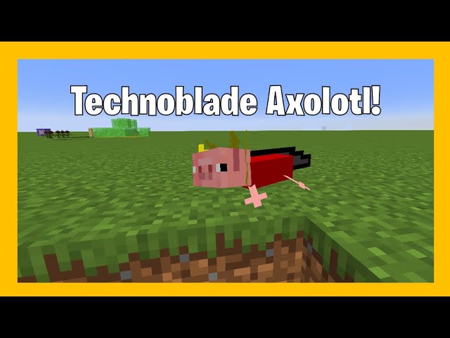 Technoblade Axolotl and Title Screen! Minecraft Texture Pack