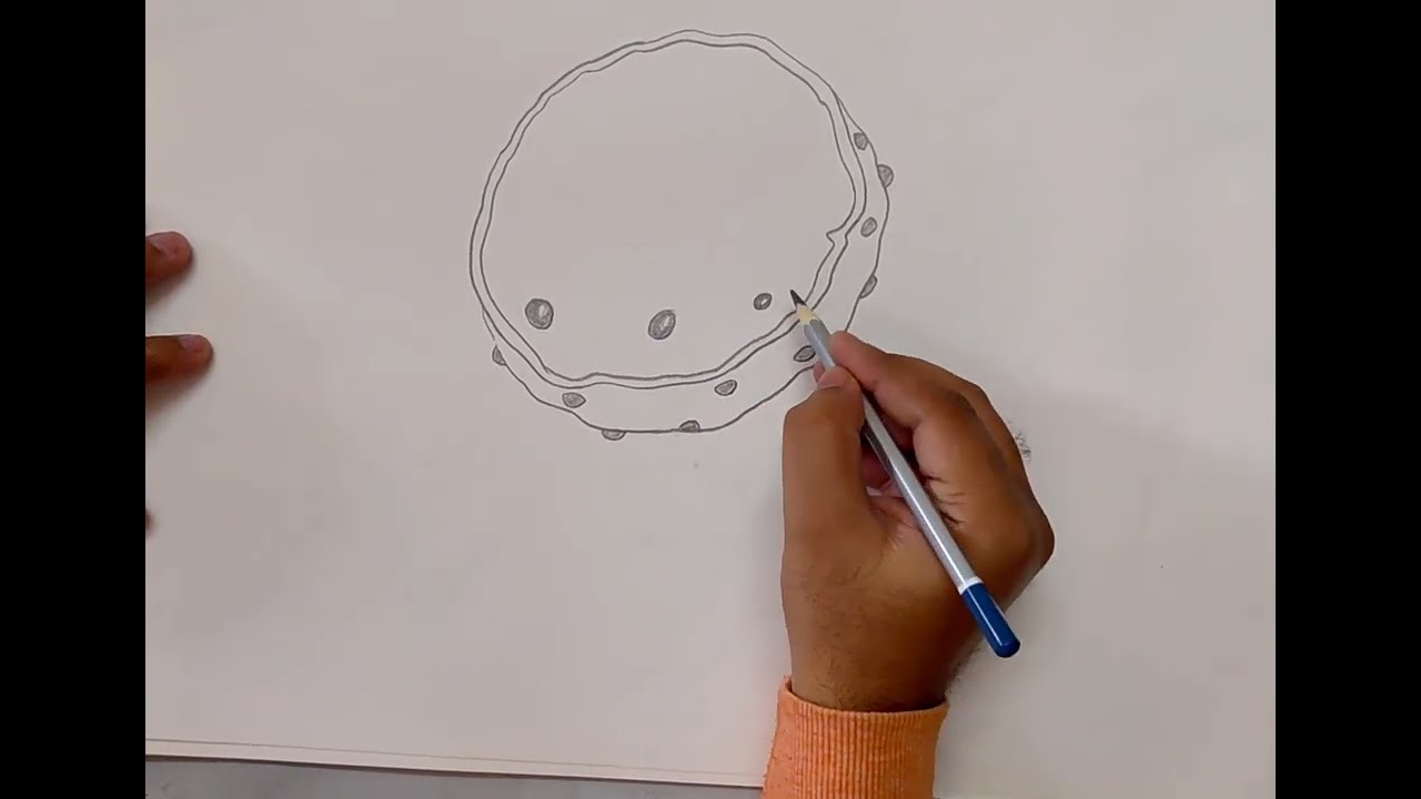 How to Draw Lysosome | Biology Diagram | Easy Step by Step