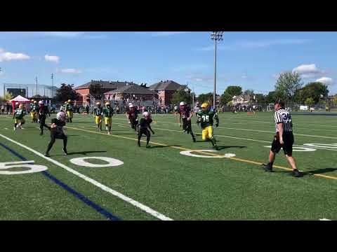 Lakeshore Football – Lakeshore Football Youth Football Program