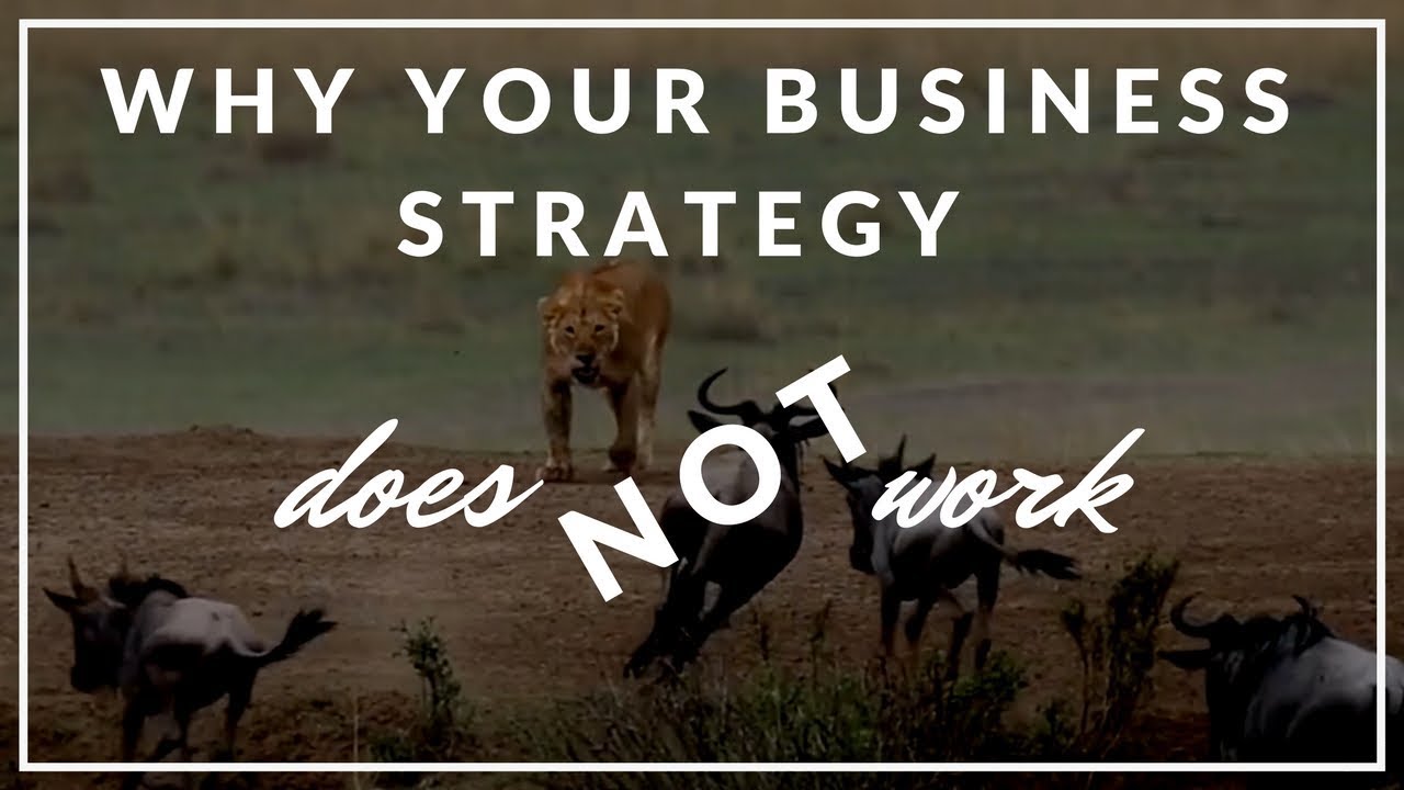 Business Strategy: Reasons why businesses fail (2019) ⎮Viking Mark