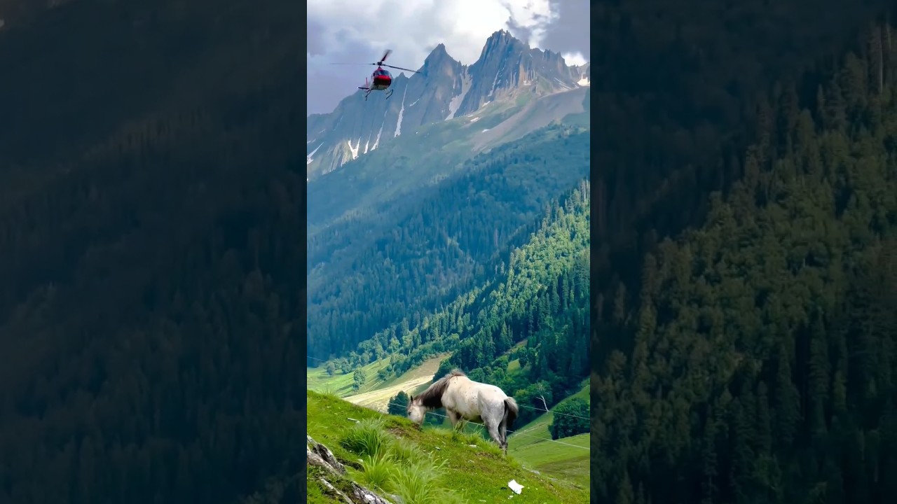 pahari ilaka ka Shorts video 📸