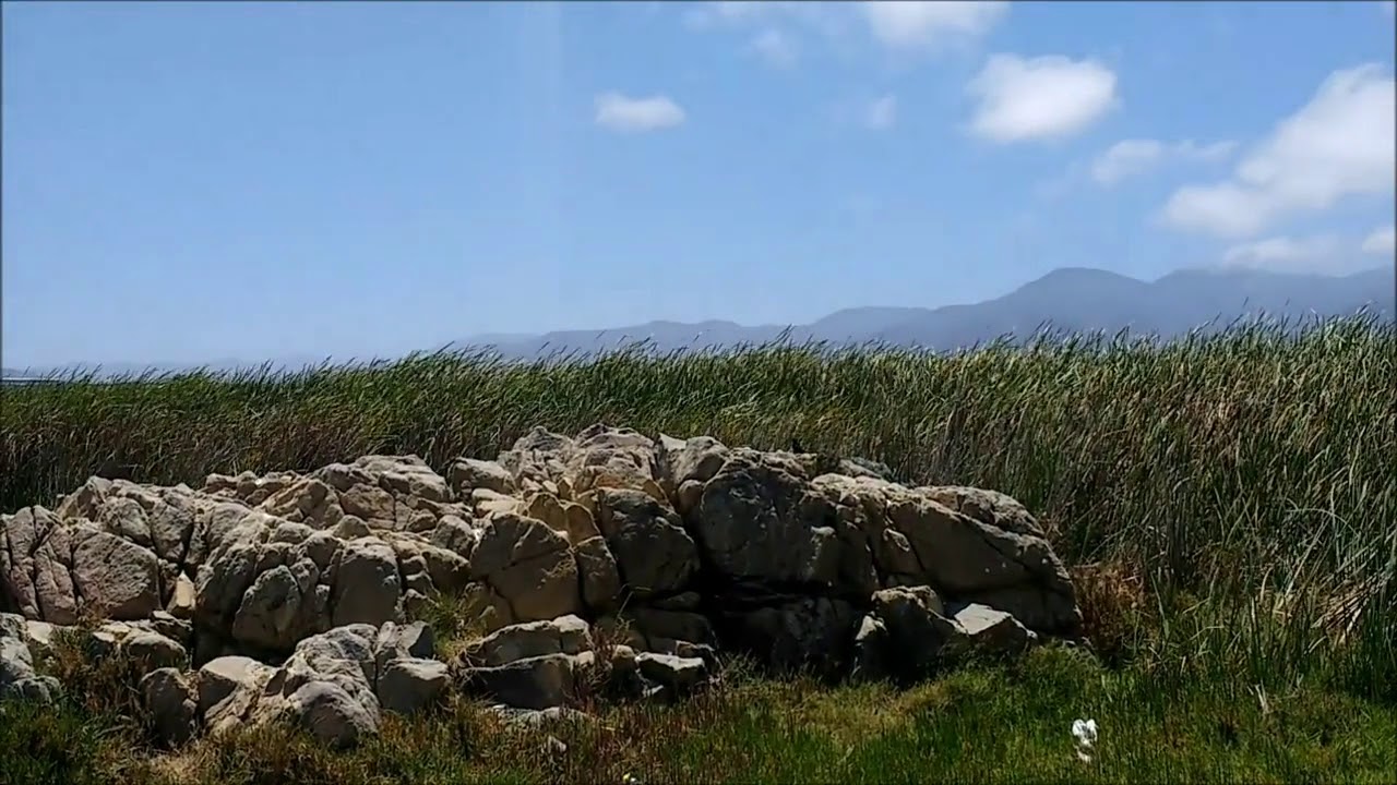 Humedal Punta Teatinos, La Serena