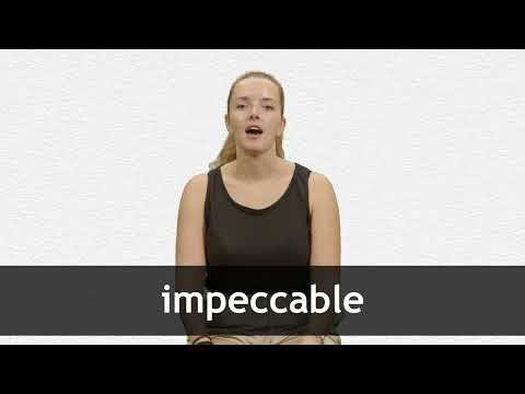 English Translation of “IMPECCABLE” | Collins French-English Dictionary