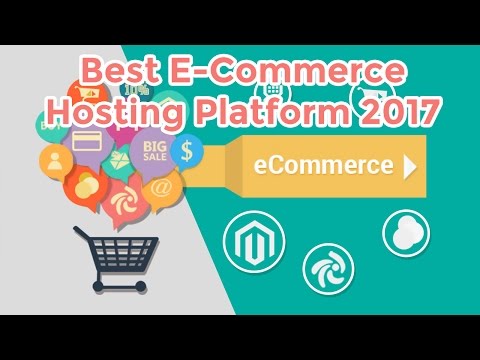 Which E Commerce Website Hosting Platform Is The Best Choice For Your Online Store