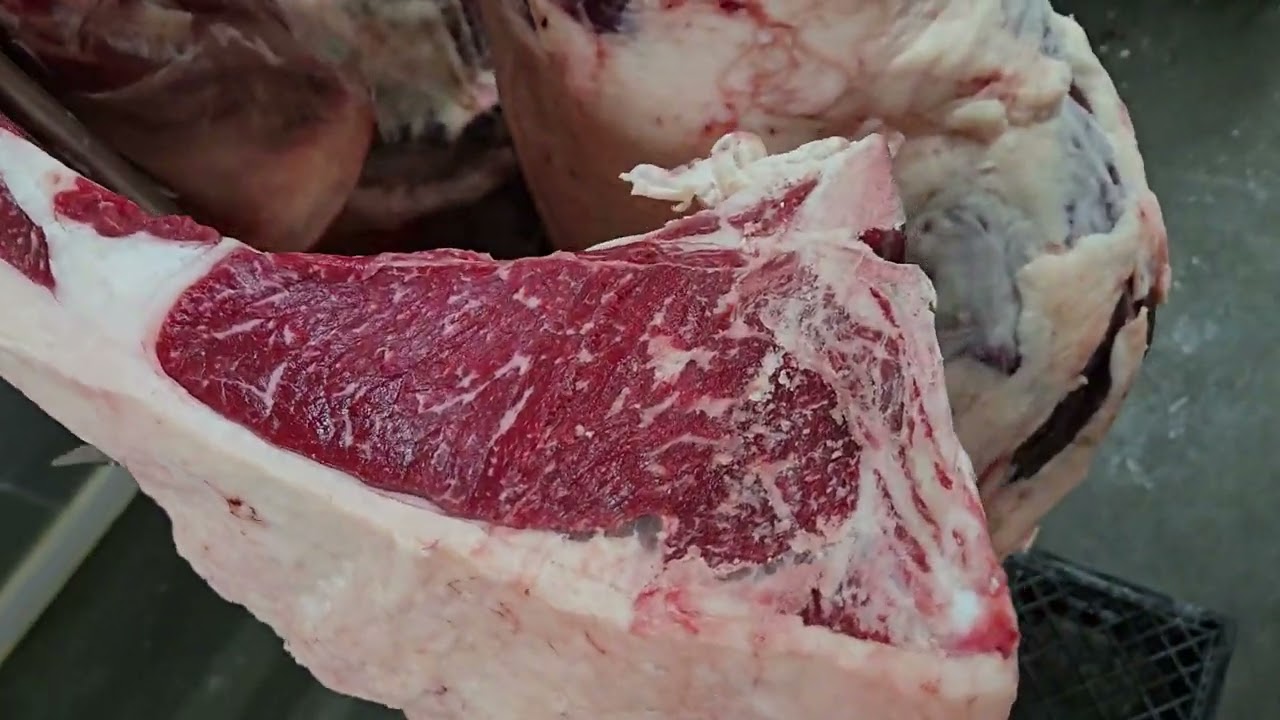 Section 9 2025 Beef Carcass Grading and Class