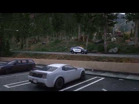 Southland Roleplay | FiveM Roleplay Server | Los Angeles Based | LAPD ...